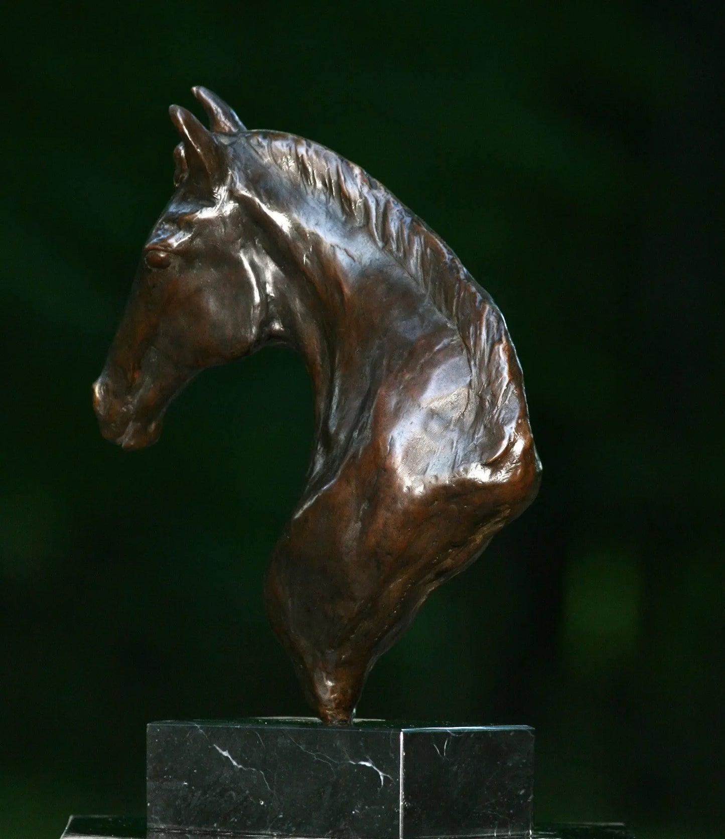 The Prophet Horse Head – JoAnne Helfert Sullam